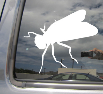Housefly Insect - House Fly Car Laptop Bumper Window Vinyl Decal ...