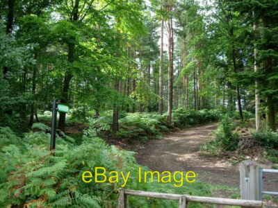 Photo 6x4 Footpath at Coveyden near Sevenoaks Goathurst Common The ...