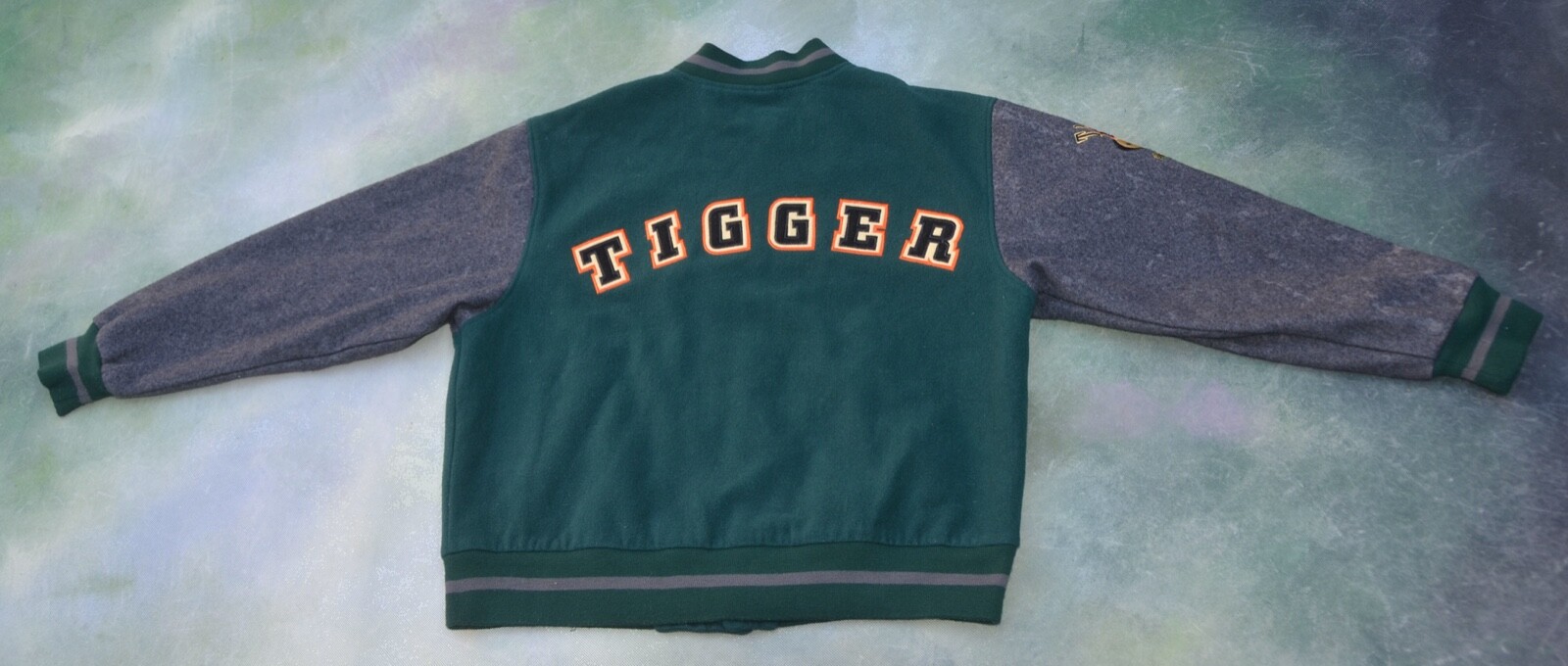 Vintage Disney Store Tigger Men's Varsity Suede Jacket Size M. | eBay