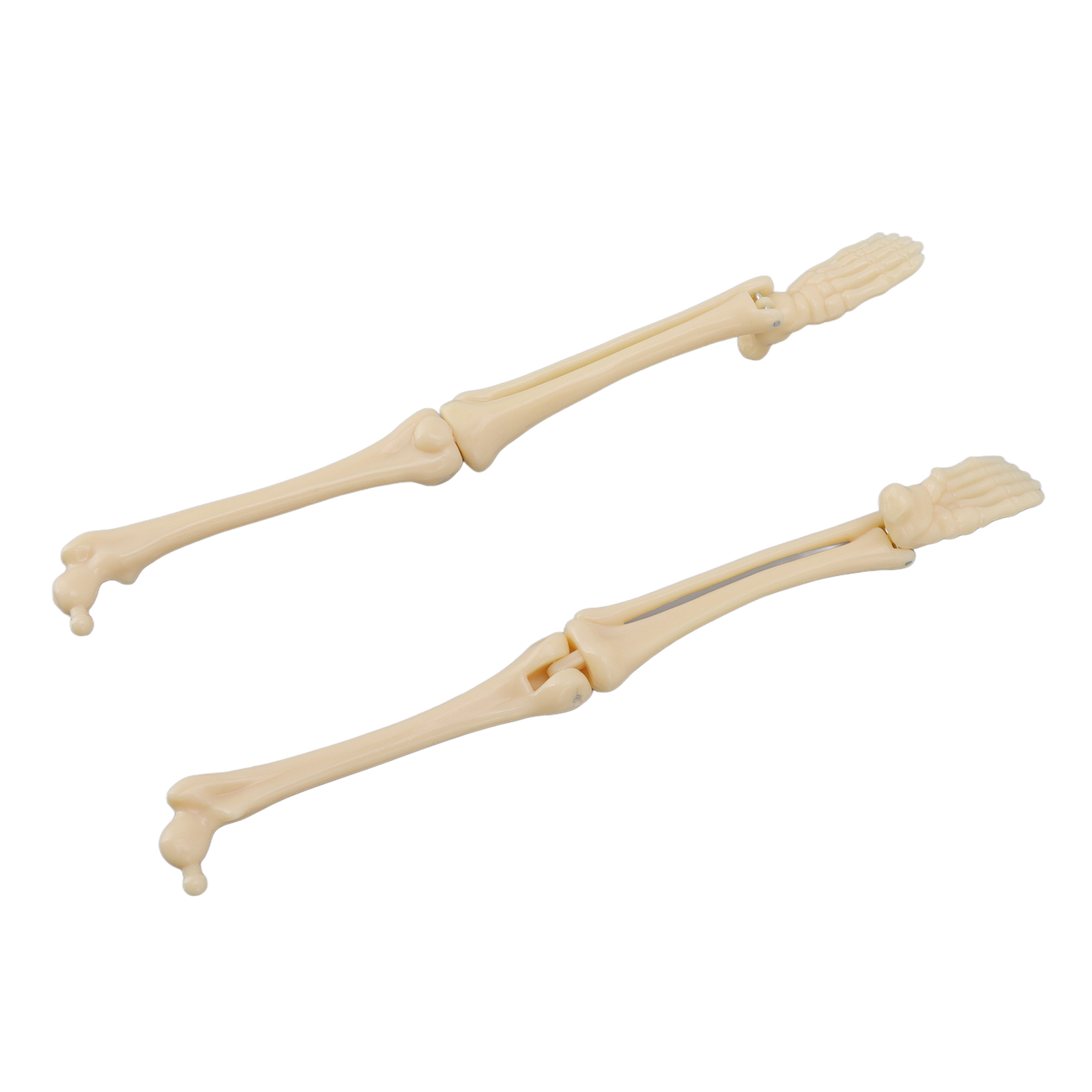 Human Bone Model 35cm Plastic Human Skeleton Model Small DIY Toy For | eBay