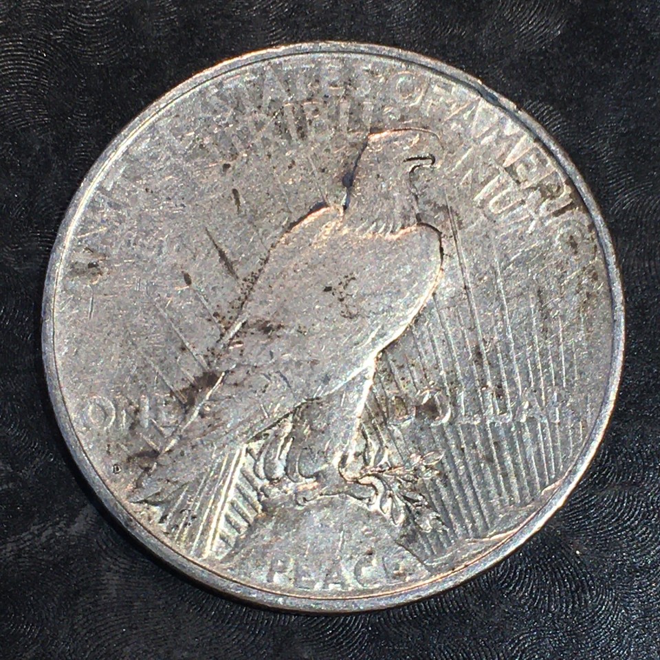 1926-D Peace Silver Dollar - High Quality Scans #N833 | eBay