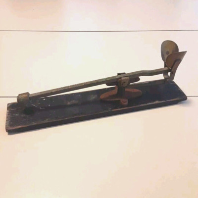 Scales - Reliable Egg Scale