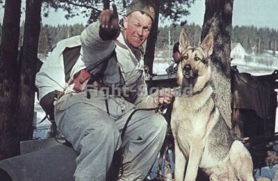 WW2 Picture Photo German soldier with his shepherds dog 2615 | eBay