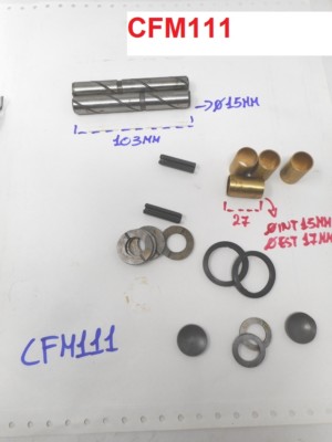 Series Pins Zone A Ball Joint Complete Bushes IN Bronze for Fiat 500F ...