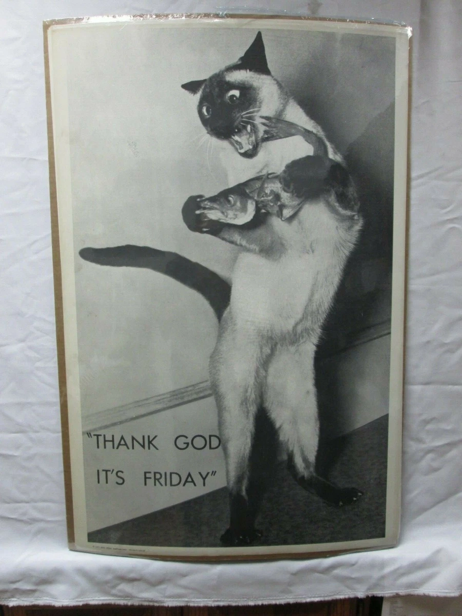 Thank God Its Friday Cat