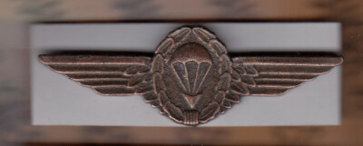 BRD BW German Army Airborne parachute wing Basic 1988-present ~3" badge ...