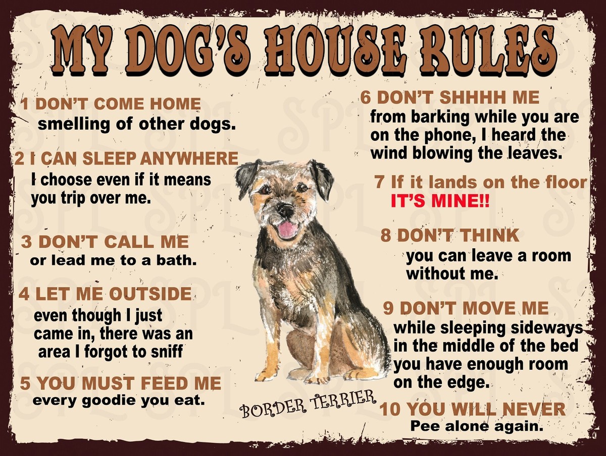 Dogs Rule Quotes Dog Rules Poster