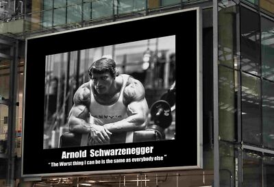 ARNOLD SCHWARZENEGGER BODYBUILDING POSTER GYM BODY ARNIE MR UNIVERSE A4 ...