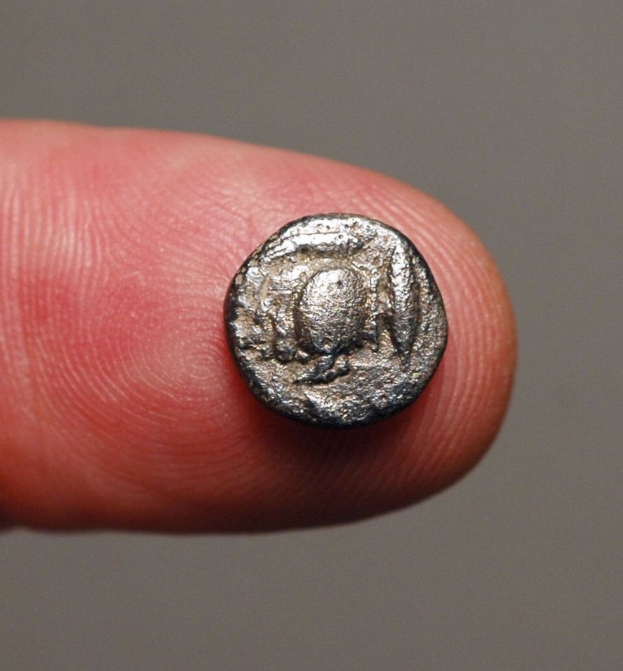 G24-43 MYSIA, Kyzikos. Circa 450-400BC AR Di-Obol, Roaring lion / Boar ...