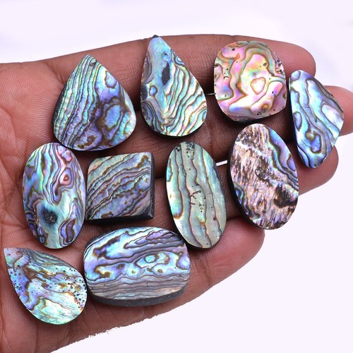 10 Pcs Natural Abalone Shells 18mm-31mm Rainbow Fire Cabochon Loose ...