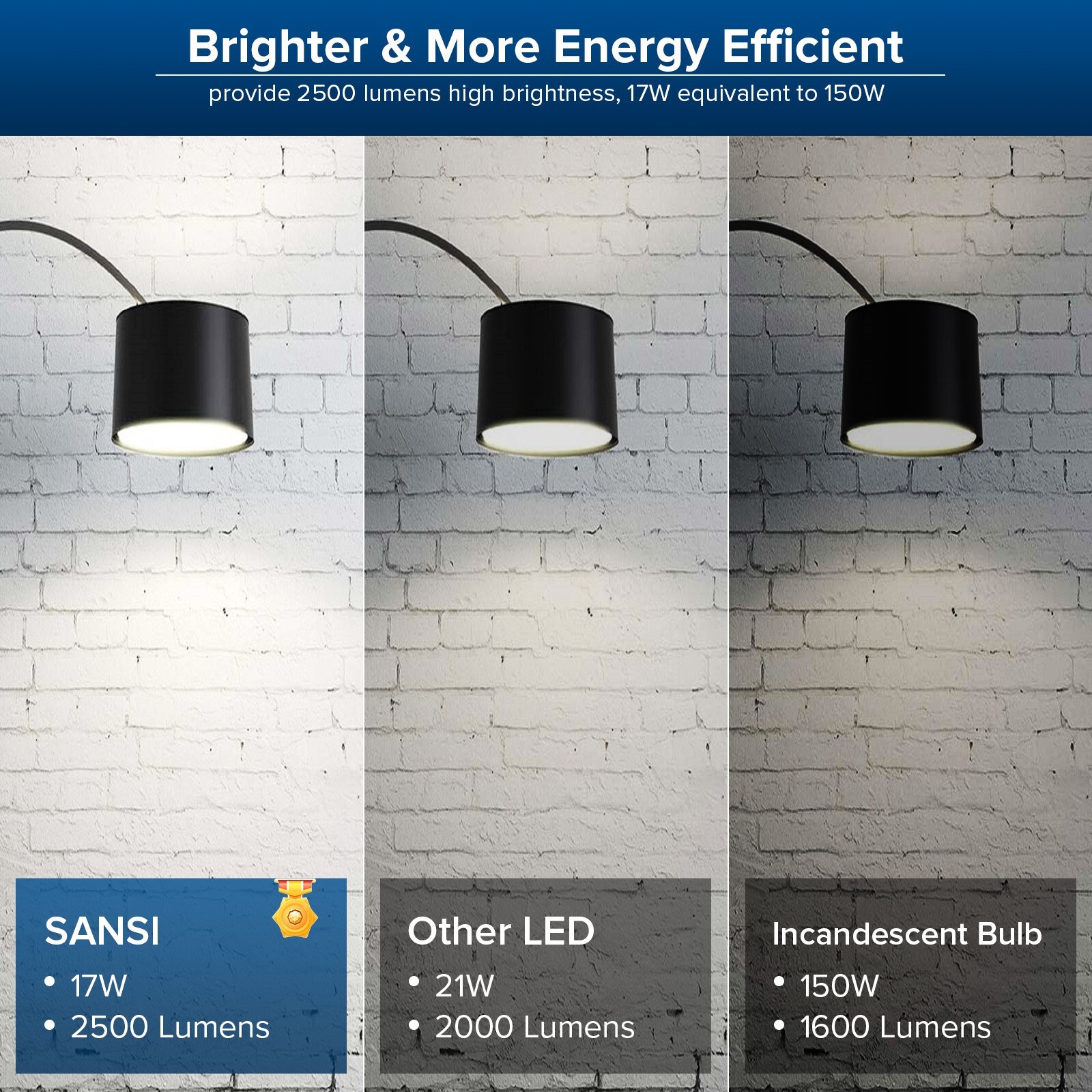 Dimmable LED Light Bulb 17W (200W Equivalent) A19 2500LM 5000K Daylight ...