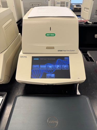 BIO-RAD CFX96 C1000 TOUCH Real-Time PCR System Year 2020-New ...