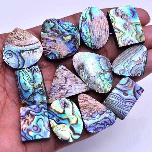 12 Pcs Natural Abalone Shells 22mm-28mm Cabochon Rainbow Fire Loose ...
