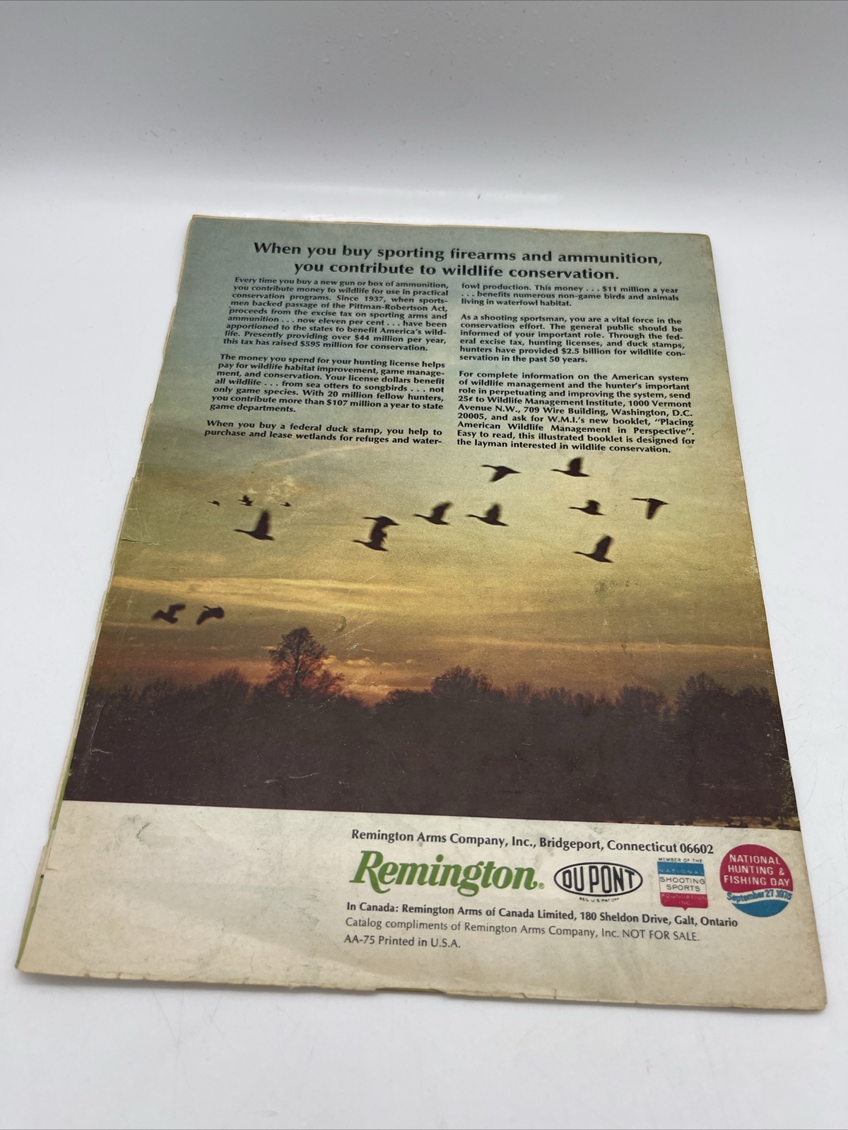 Vintage Original Remington 1975 Sporting Firearms & Ammunition Hunting ...