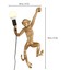 Modern LED Wall Lamps Monkey Sitting Lamp Outdoor Wall Sconce Light ...