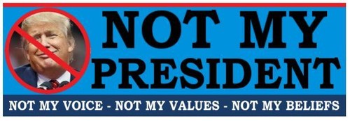 NOT MY PRESIDENT - ANTI Trump POLITICAL BUMPER STICKER | eBay