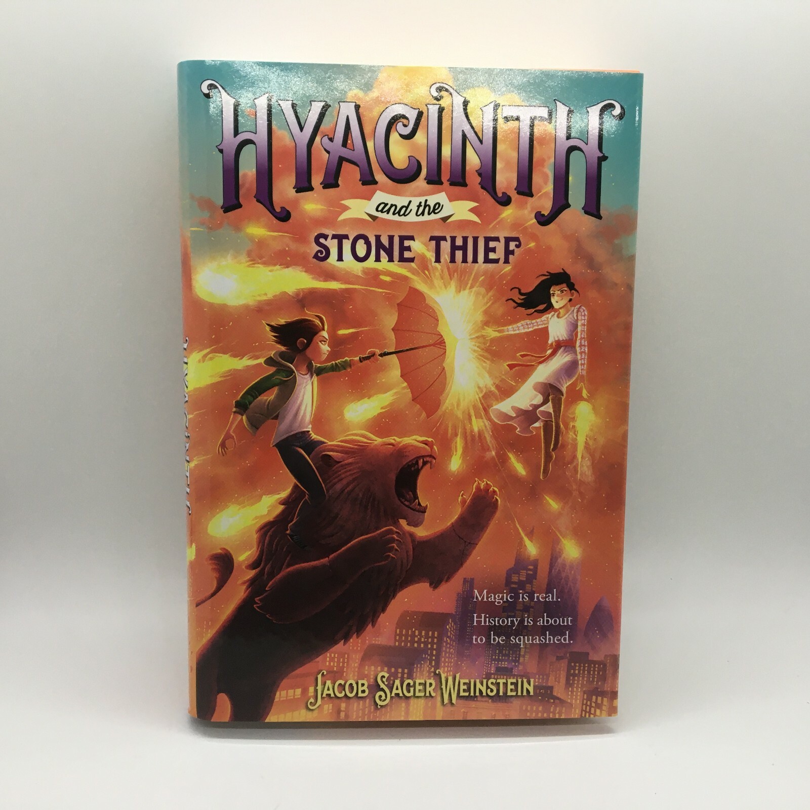 Hyacinth Ser.: Hyacinth and the Stone Thief by Jacob Sager Weinstein ...