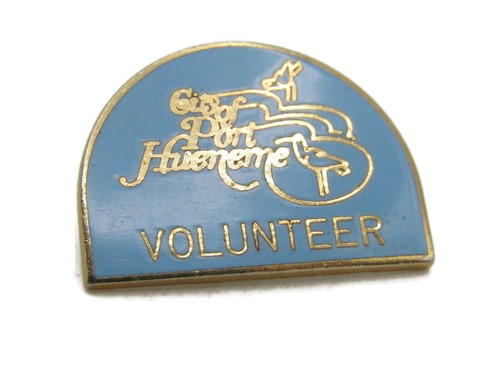 Volunteer Lettered Pin Blue Background & Gold Tone | eBay