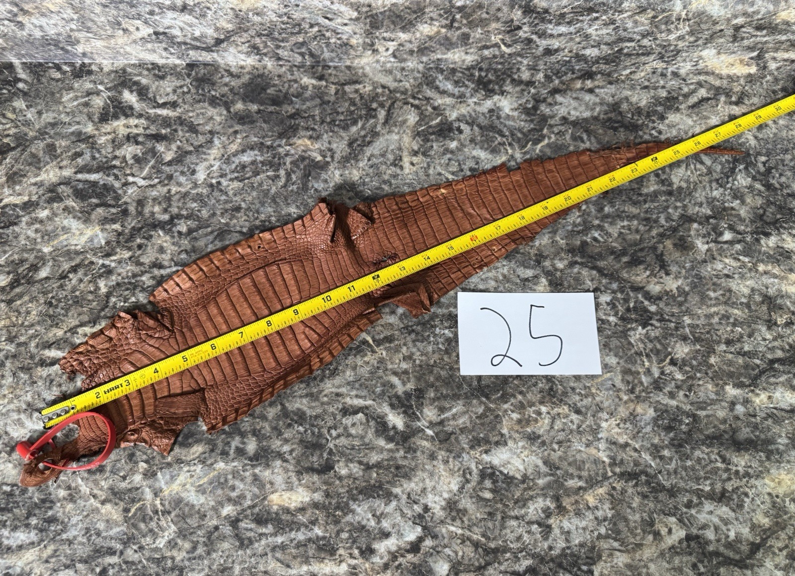 Brown Genuine Caiman Crocodile Hide Leather Skin real alligator Croc ...