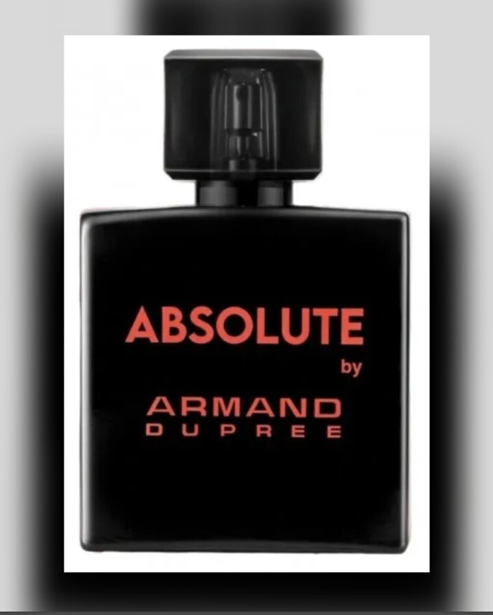 ABSOLUTE BY ARMAND DUPREE COLOGNE SPRAY FOR MEN 80 ML 2.7 FL OZ ARMAND ...