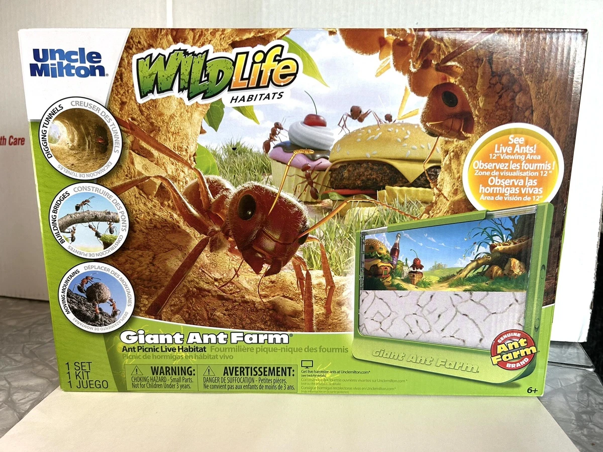 Giant Ant Farm