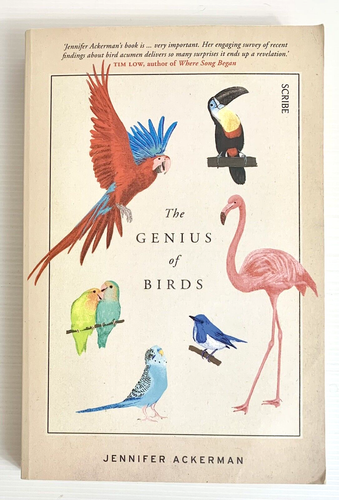 The Genius of Birds by Jennifer Ackerman 2016, Small Paperback | eBay ...