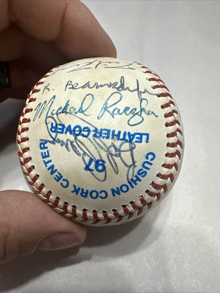 Signed Autographed Baseball Ball UNKNOWN PLAYER SIGNATURES Collectible ...