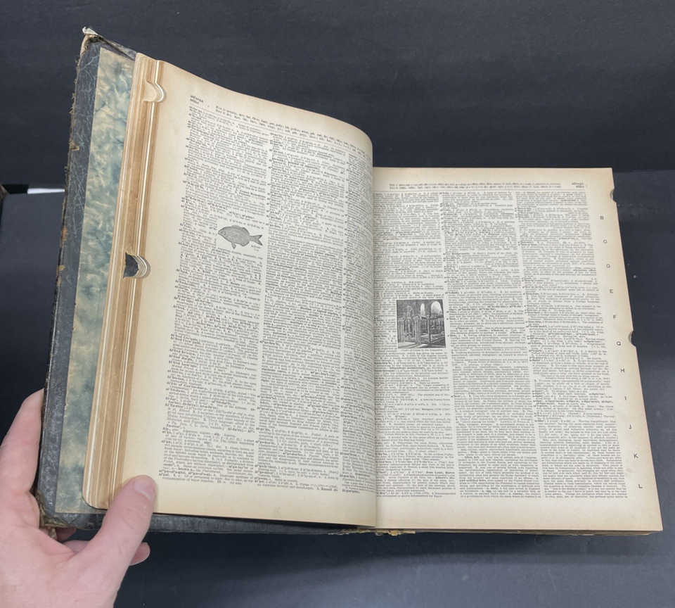 1920 Funk & Wagnalls New Standard Dictionary of the English Language ...