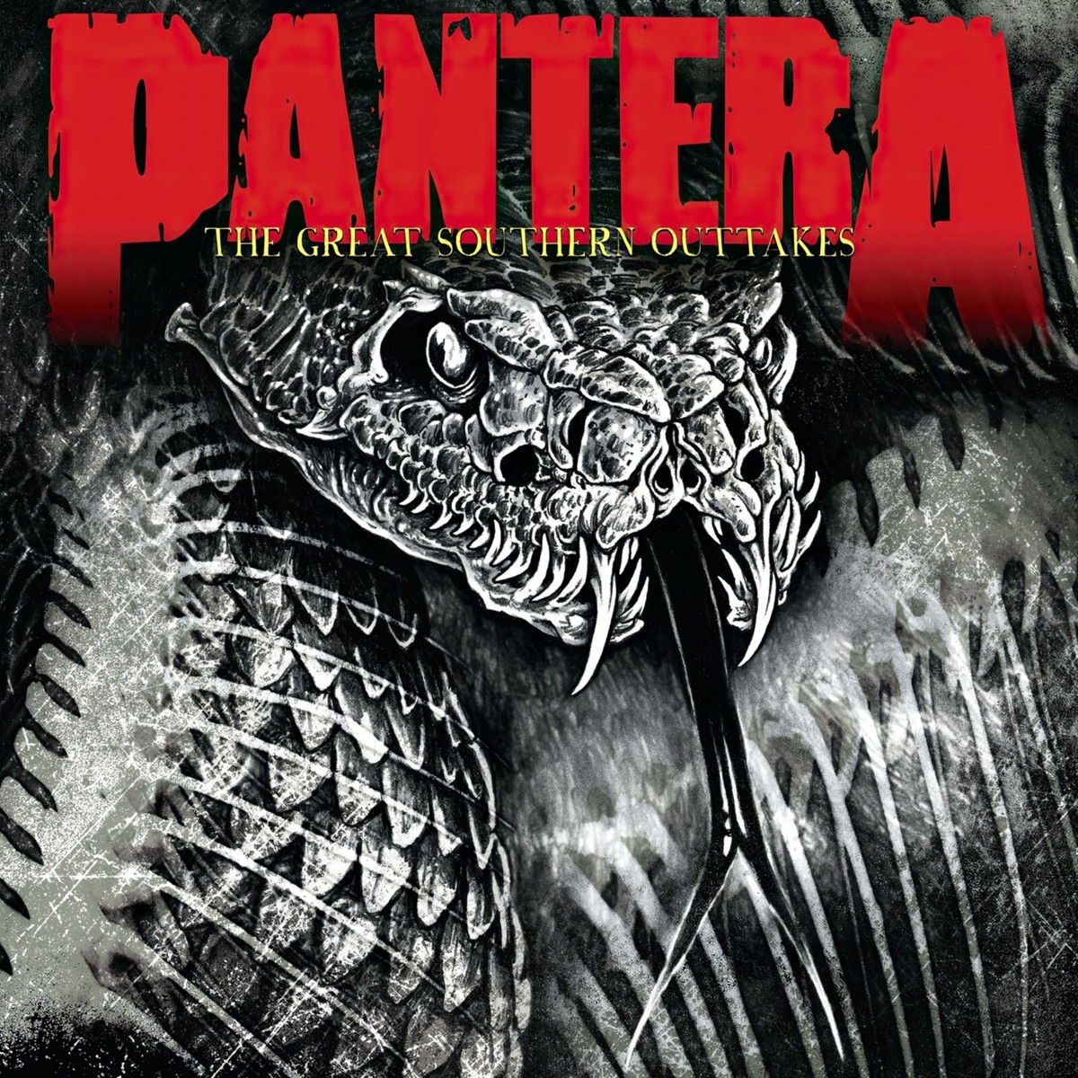 Pantera Albums Pantera Record Recent Club Show Performance For First