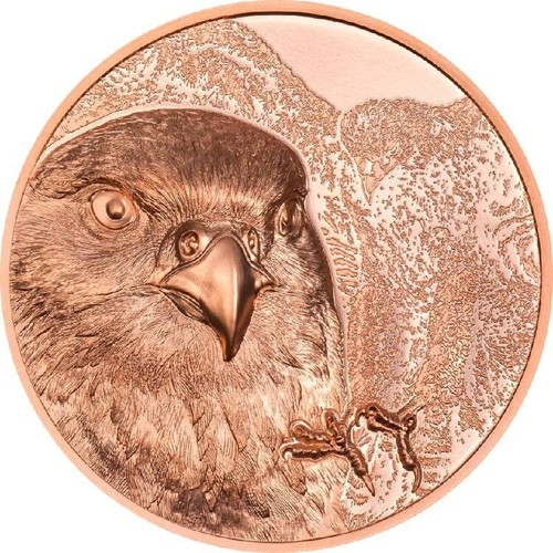 2023 Mongolia Wild Mongolian Falcon 50g Copper Proof-Like Coin with ...