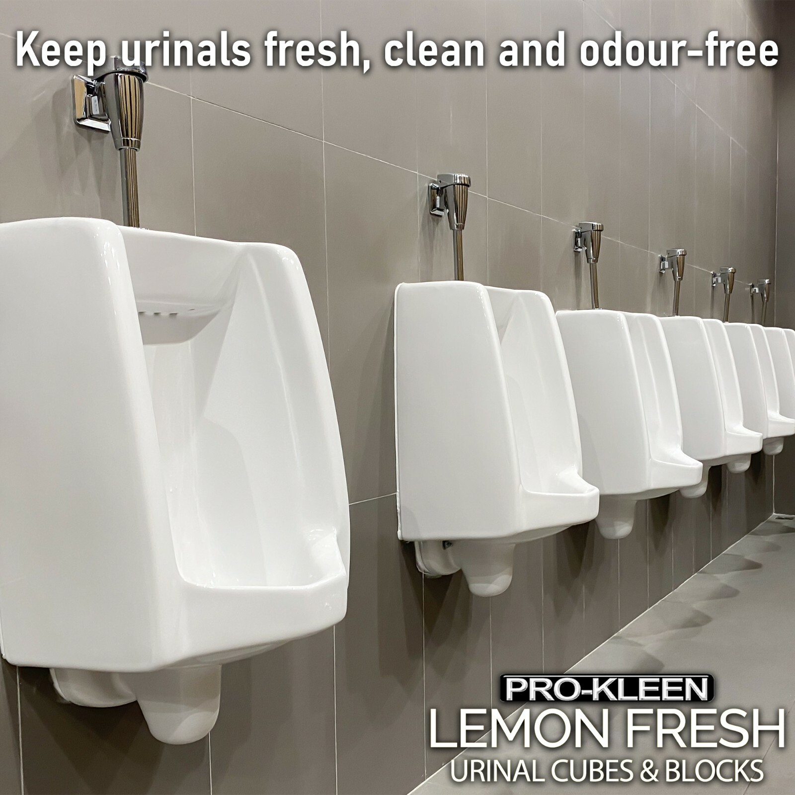 Urine Toilet Channel Blocks 6KG Bucket Cube Piece Chunks Lemon Wall ...