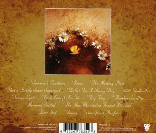 Skylarking: Corrected Polarity Edition by XTC 633367783523 | eBay