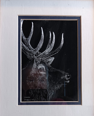 original scratchboard drawing etching elk wapati deer Carol Proebstel ...