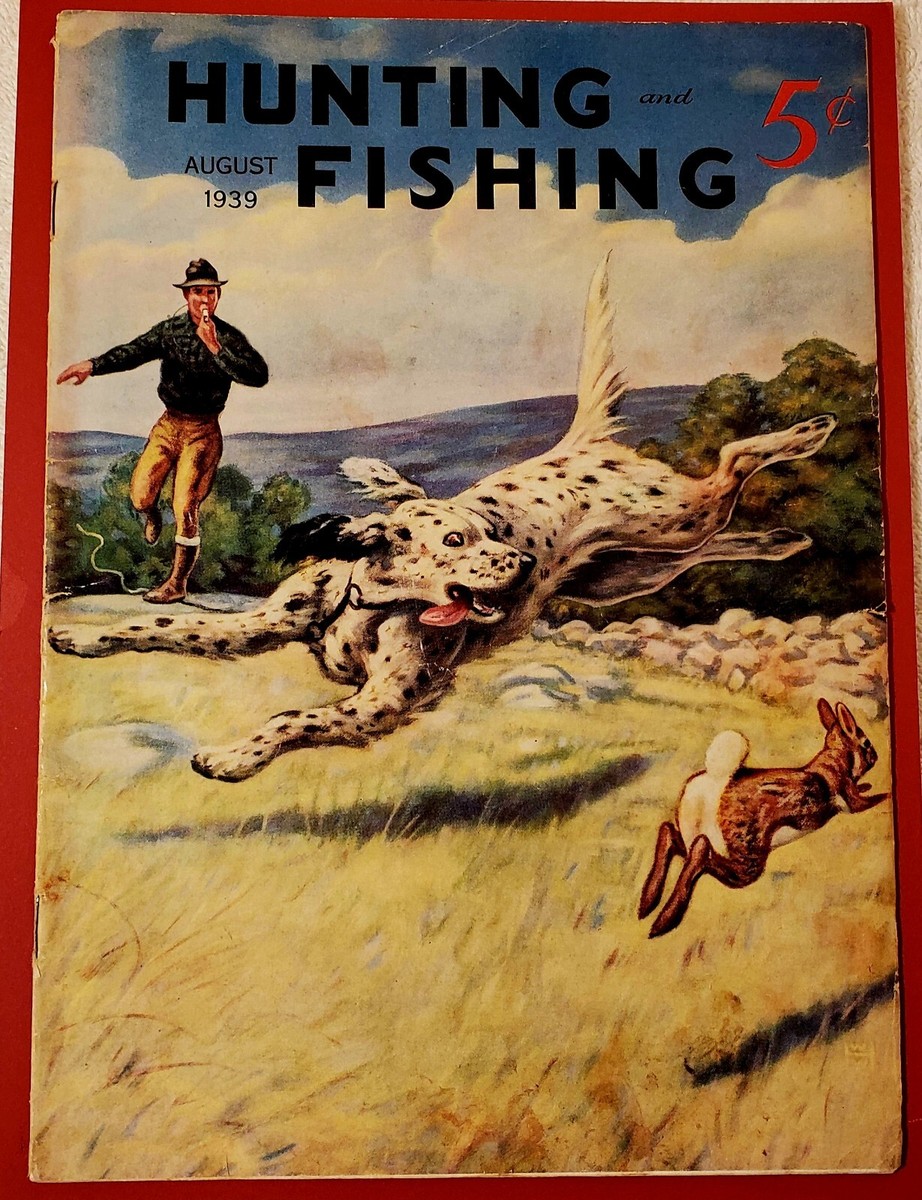English Setter Duck Hunting
