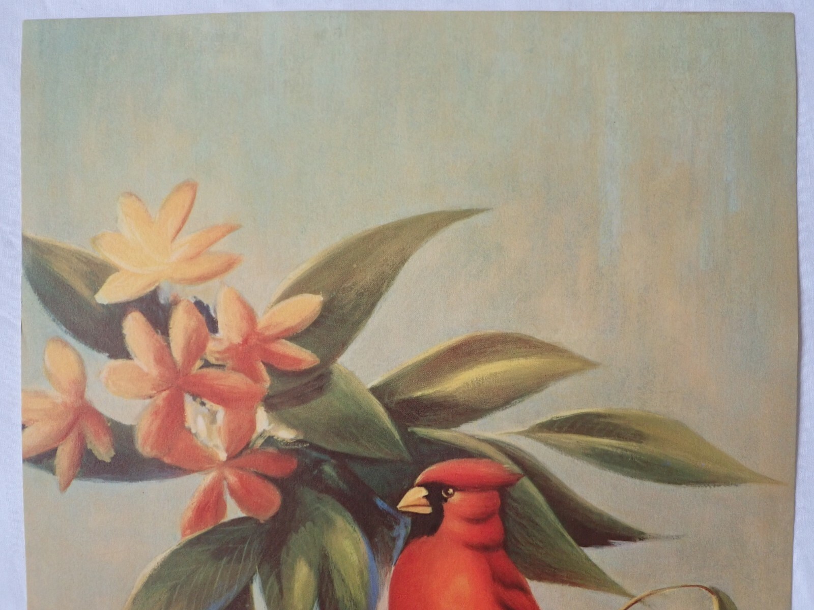VINTAGE RF HARNETT CARDINAL BIRDS LITHOGRAPH WALL ART PRINT KAPLAN CO ...