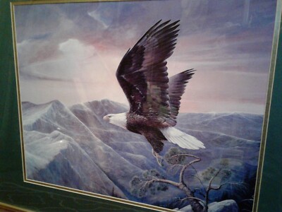 Ruane Manning Eagle Print | eBay