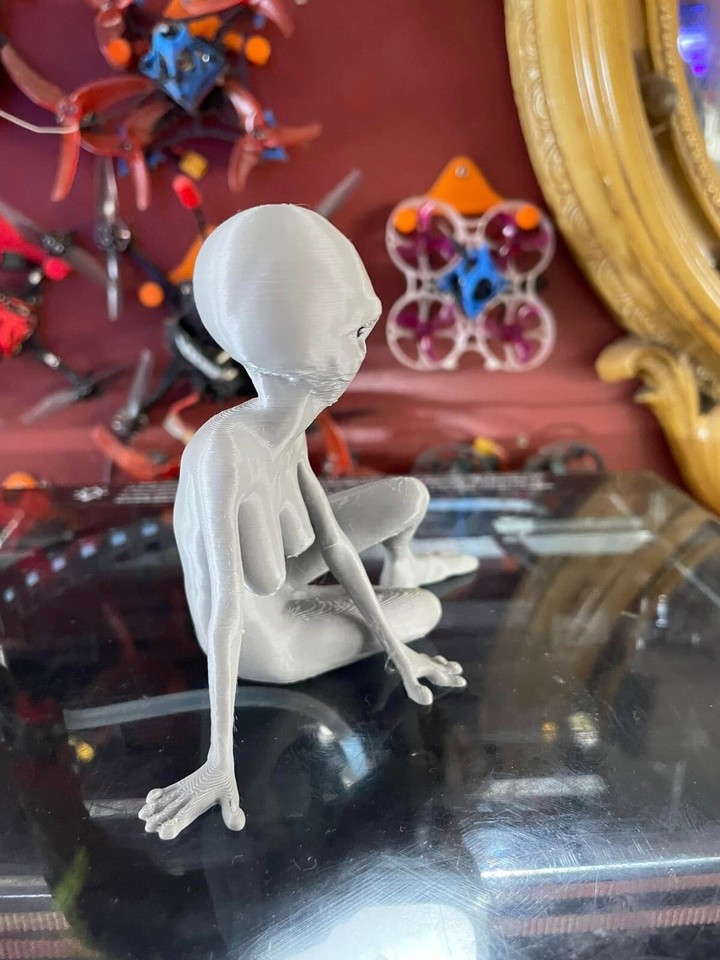 Female Grey Alien Action Figure! (In Proportion To Fit 12" Male) | eBay