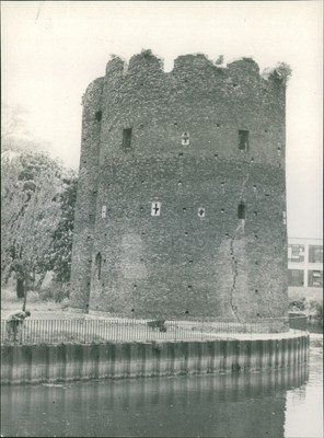 The recently constructed Cow Tower at the Quay... - Vintage Photograph ...