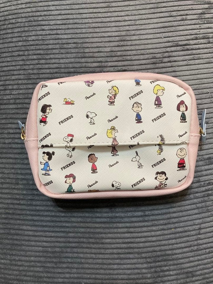 Peanuts Character Pouch Snoopy | eBay