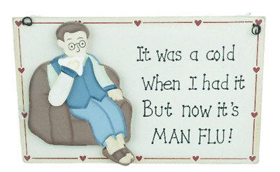 3D Plaque Man Flu Sign Ideal Man Cave Fathers Day Humourous Sign 9 ...