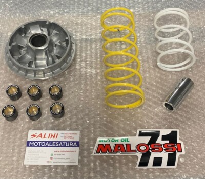 Malossi Multivar Variator Piaggio X9 250 CC 4T LC (Honda Engine) | eBay