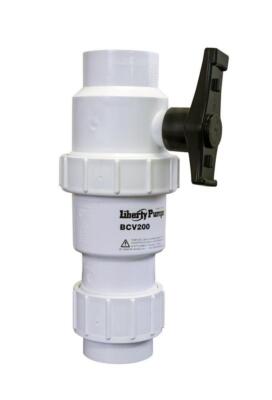 Liberty Pumps BCV200 2 in. Plastic Check Valve | eBay