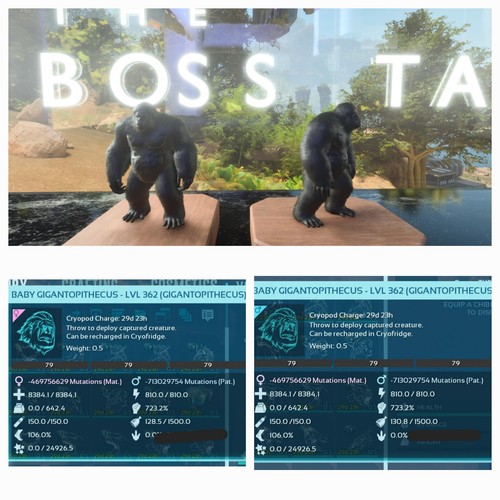 ARK ASA PVE OFFICIAL PAIR BABY GIGANTOPITHECUS BLACK TOP STATUS PC/XBOX/PS | eBay