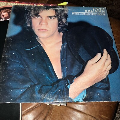 HERE COMES THE NIGHT David Johansen Vinyl LP Album CBS/Blue Sky Records ...