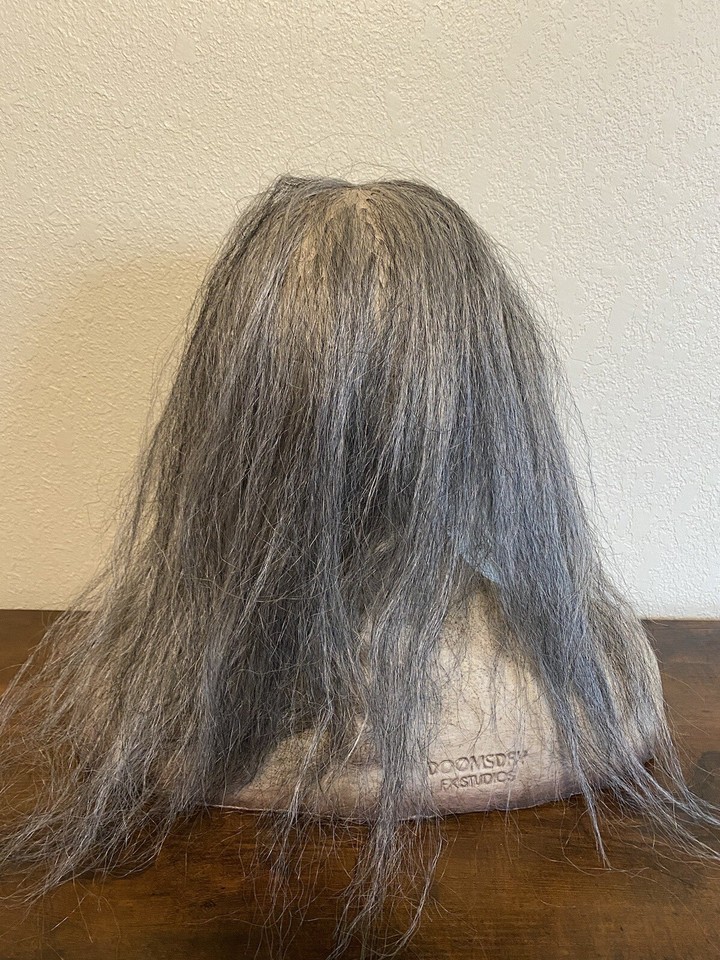 Horror Halloween Prop Zombie Head Bust By Doomsday FX Studios | eBay