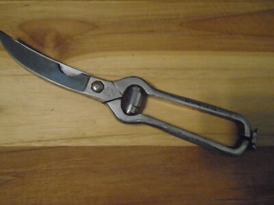 Angesa Stainless Steel Shears Scissors 10.5” Made In Italy Poultry ...