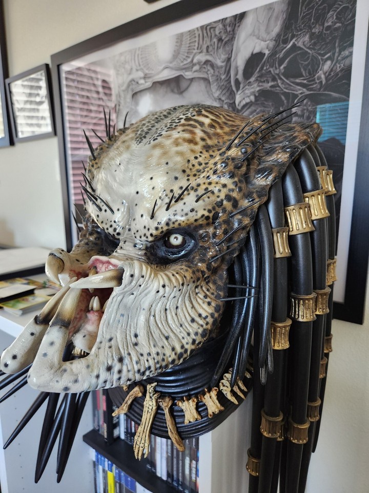 Scott Marshall Lifesize 1:1 Jungle Hunter Predator Statue Head READ ...