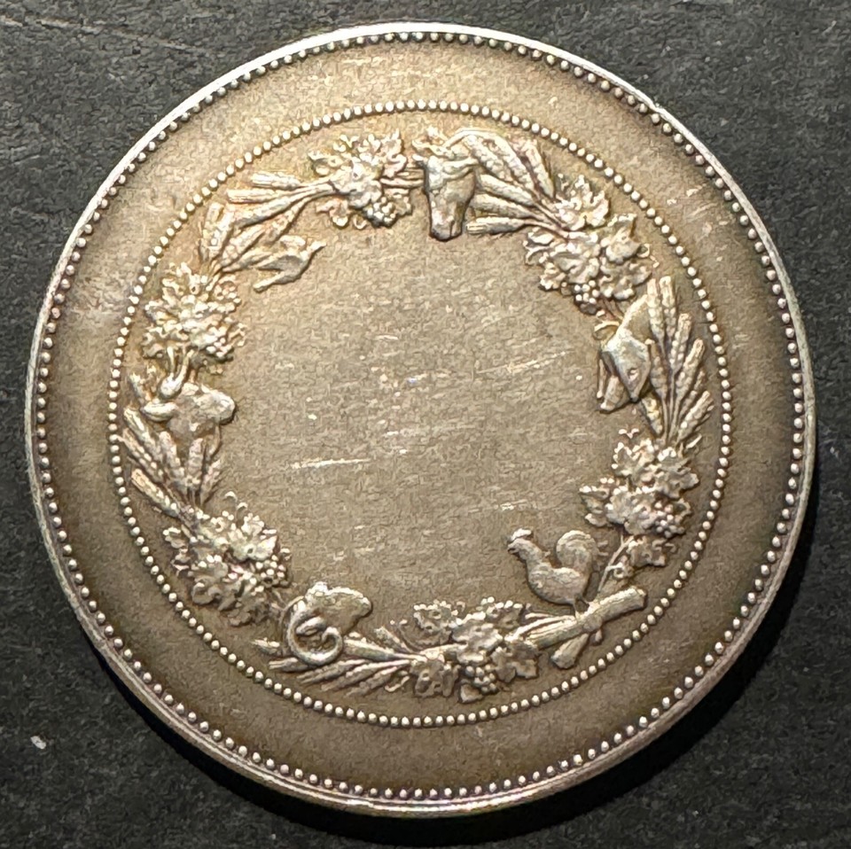 Médaille 1 argent " Femme coiffée d'une couronne de lauriers Chêne ...