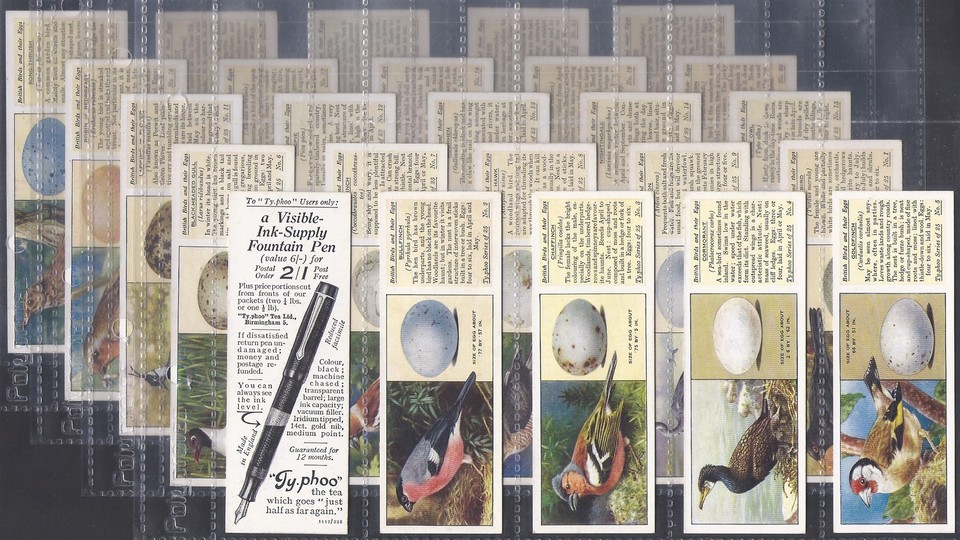 TYPHOO (TEA)-FULL SET- BRITISH BIRDS & THEIR EGGS 1936 (T25 CARDS ...