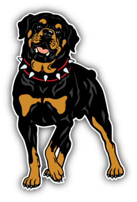Rottweiler Dog Car Bumper Sticker Decal - ''SIZES'' | eBay